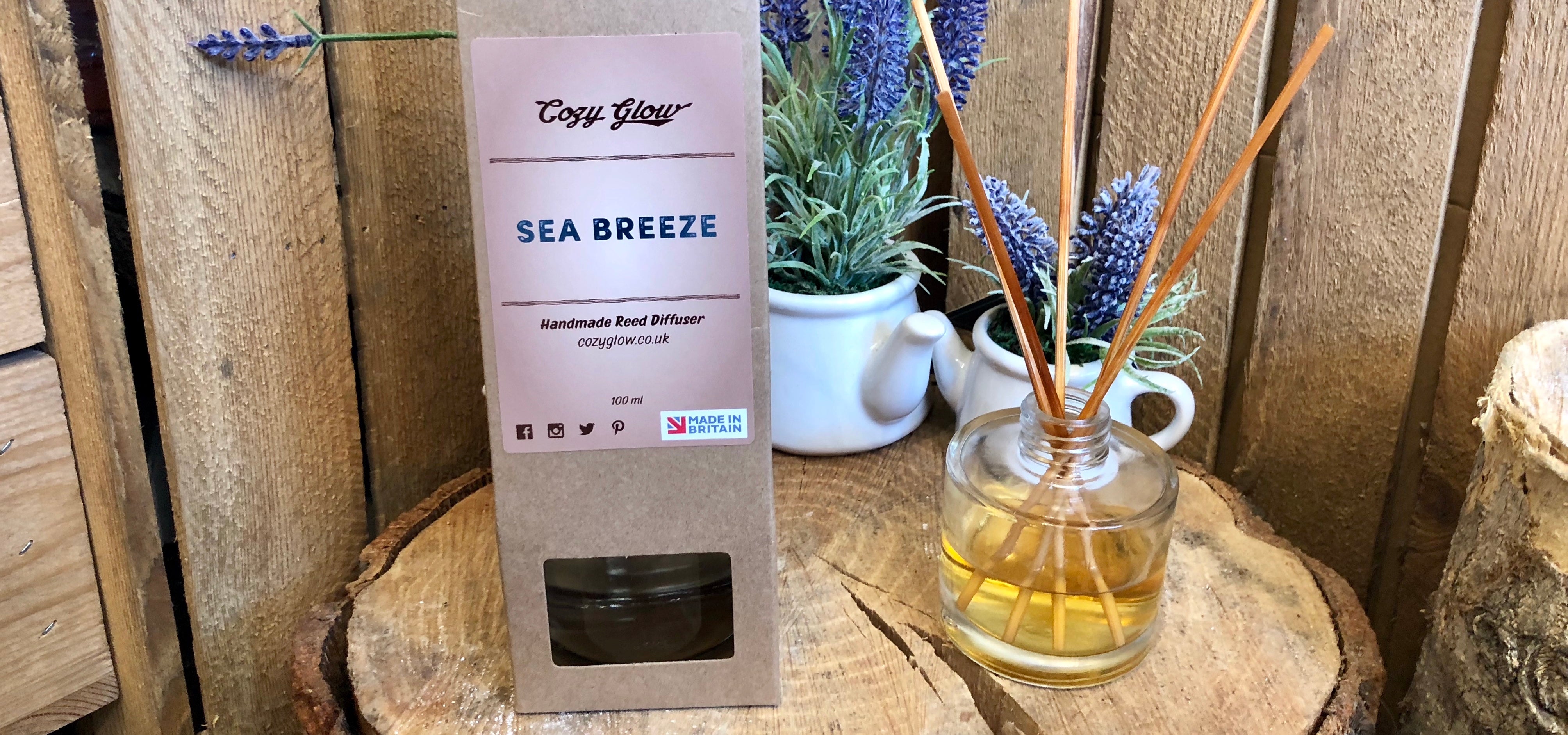 Reed Diffusers, Long Lasting and Worry Free! – Cozy Glow